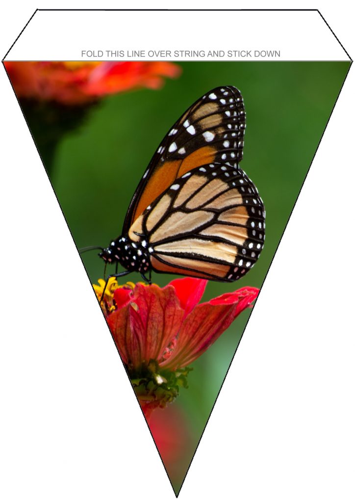 Brown and Red Butterfly Bunting - Rooftop Post Printables